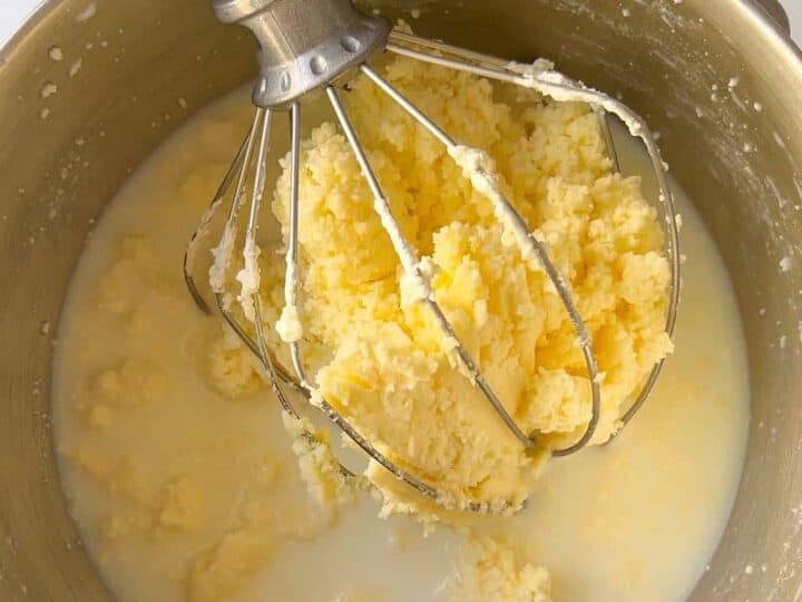 Homemade Butter (Only 1 Ingredient) | happytummy702