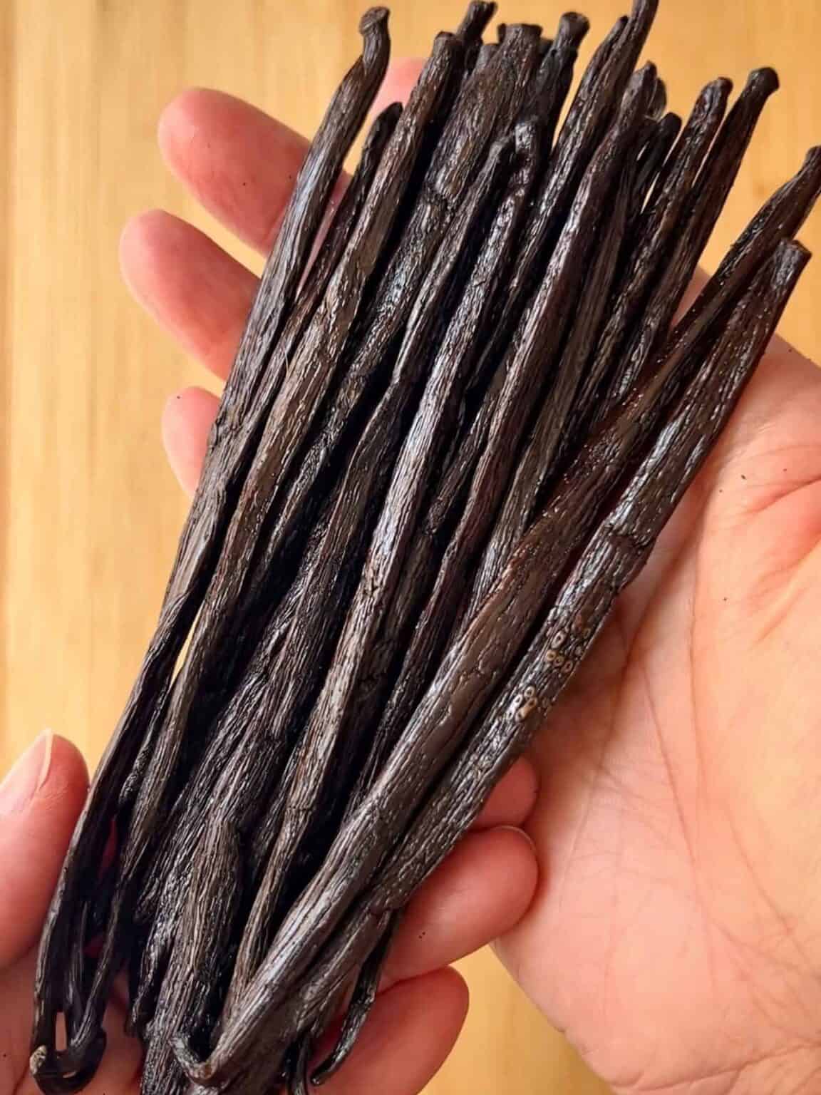 Homemade Vanilla (Only 2 Ingredients) | happytummy702